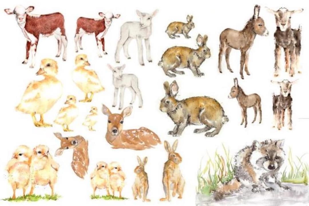 Baby Animals Decoupage Tissue Paper by Roycycled - Etsy