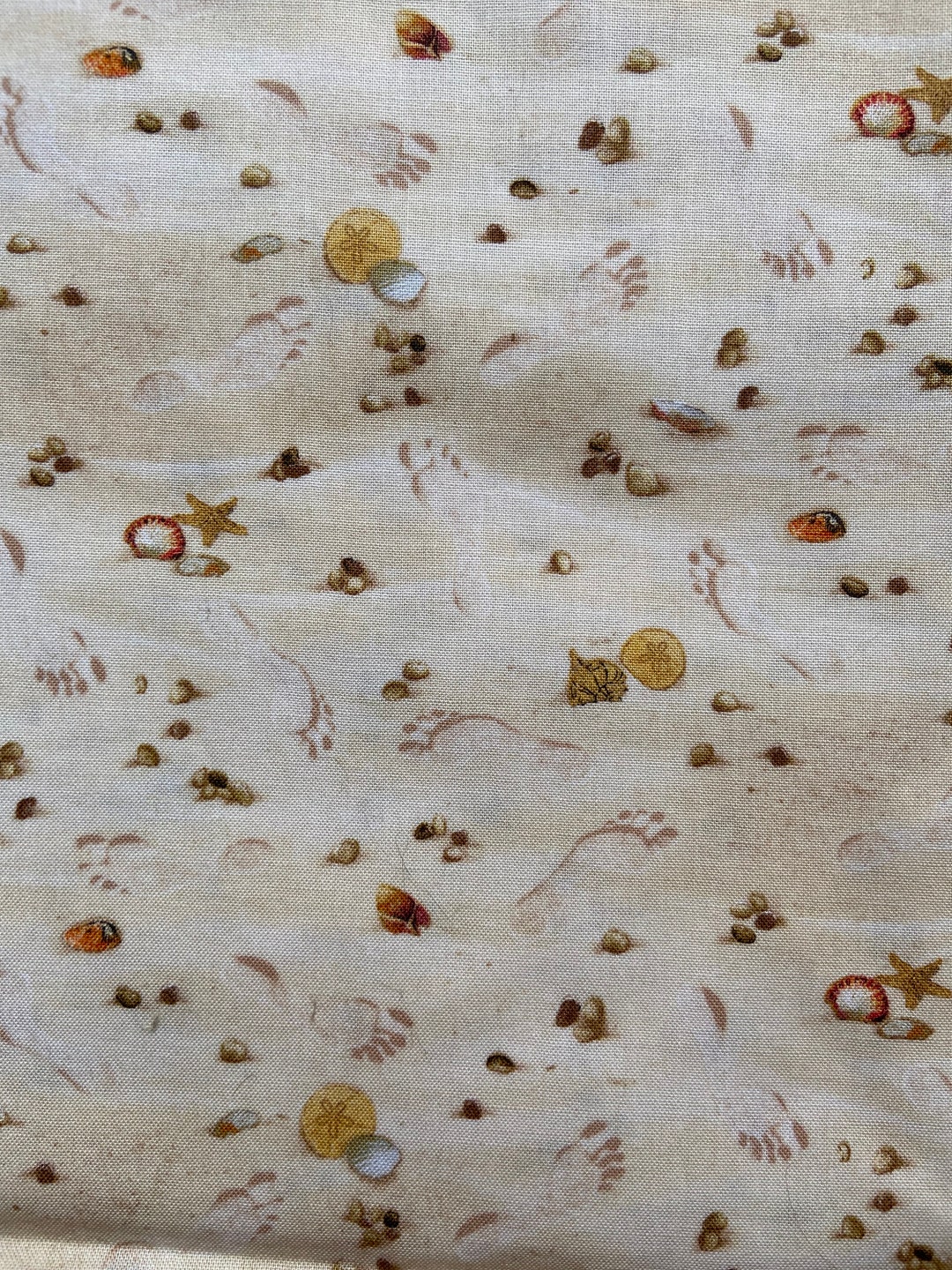 1/2 Yard Summer Shell Footprints in the Sand Beach Fabric Elizabeth’s ...