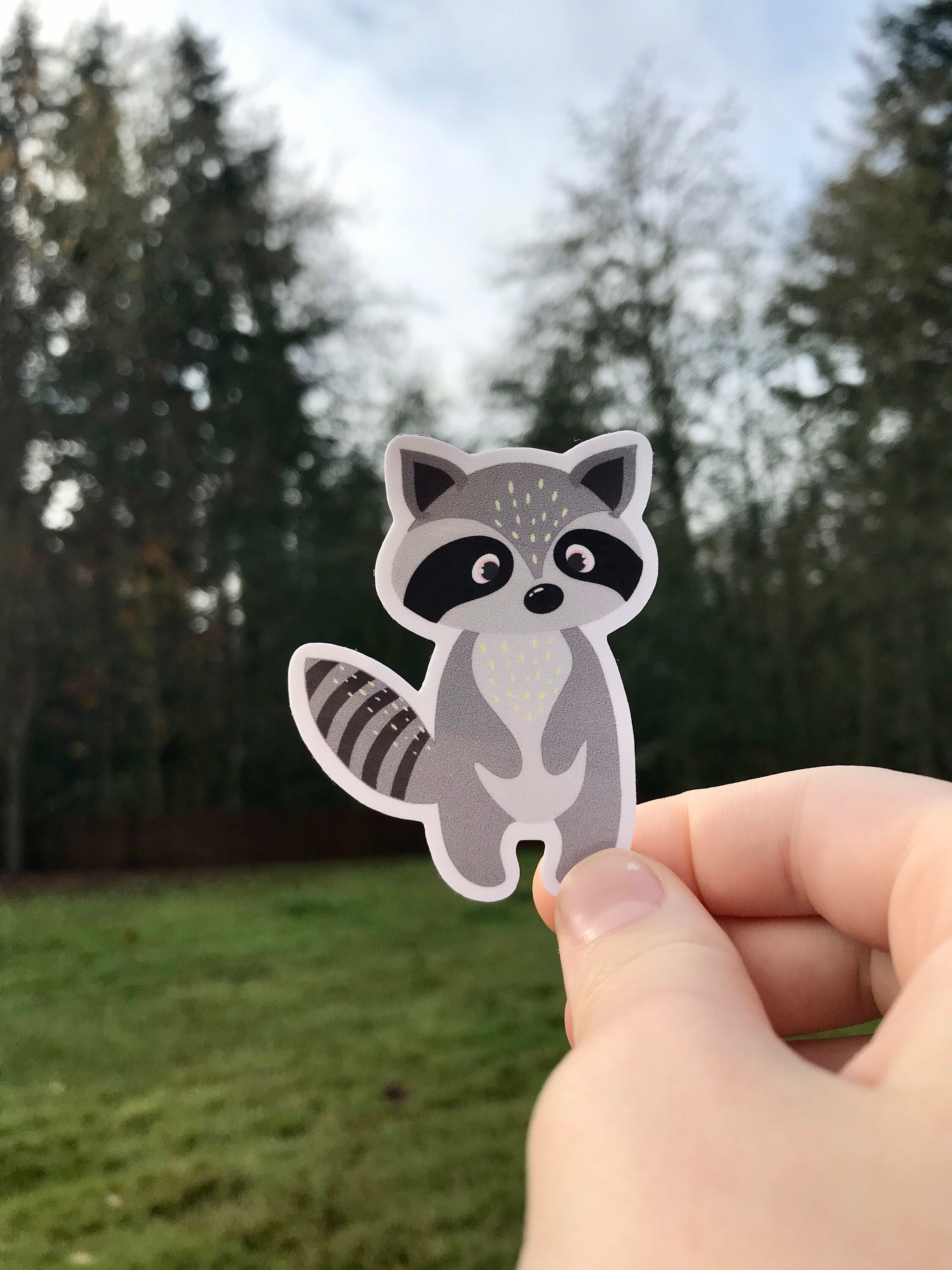 Cutesy Raccoon Sticker | Etsy