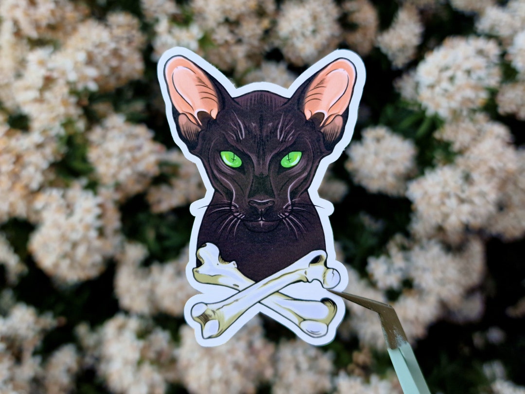 Black Cat & Crossbones Vinyl Sticker - Gothic Oriental - Spooky Siamese ...