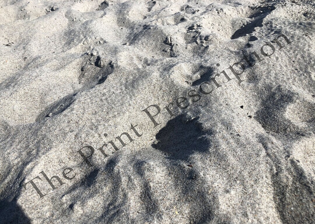Sandy Steps Black and White Texture Print - Etsy