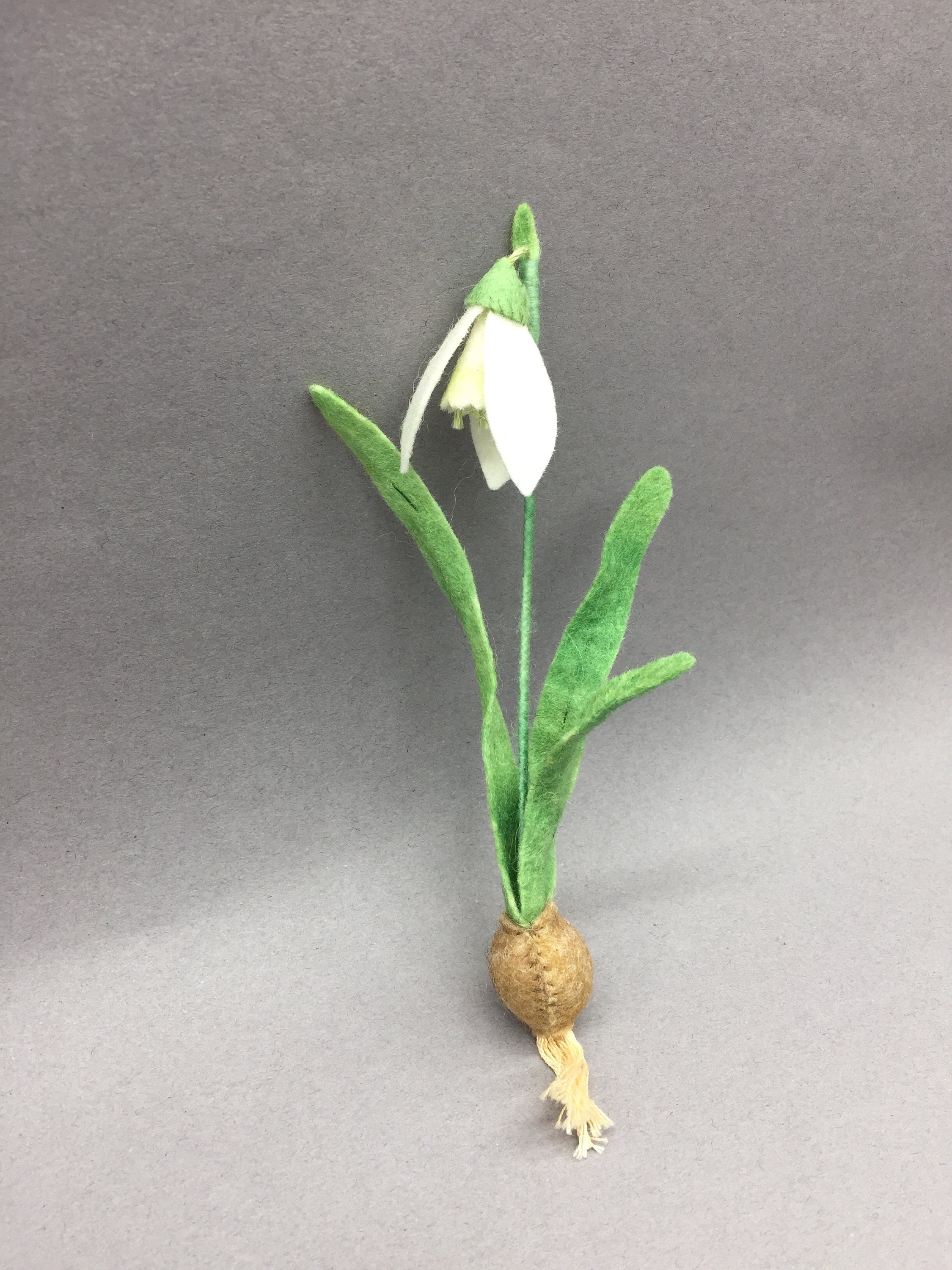Schneeglöckchen - Etsy.de