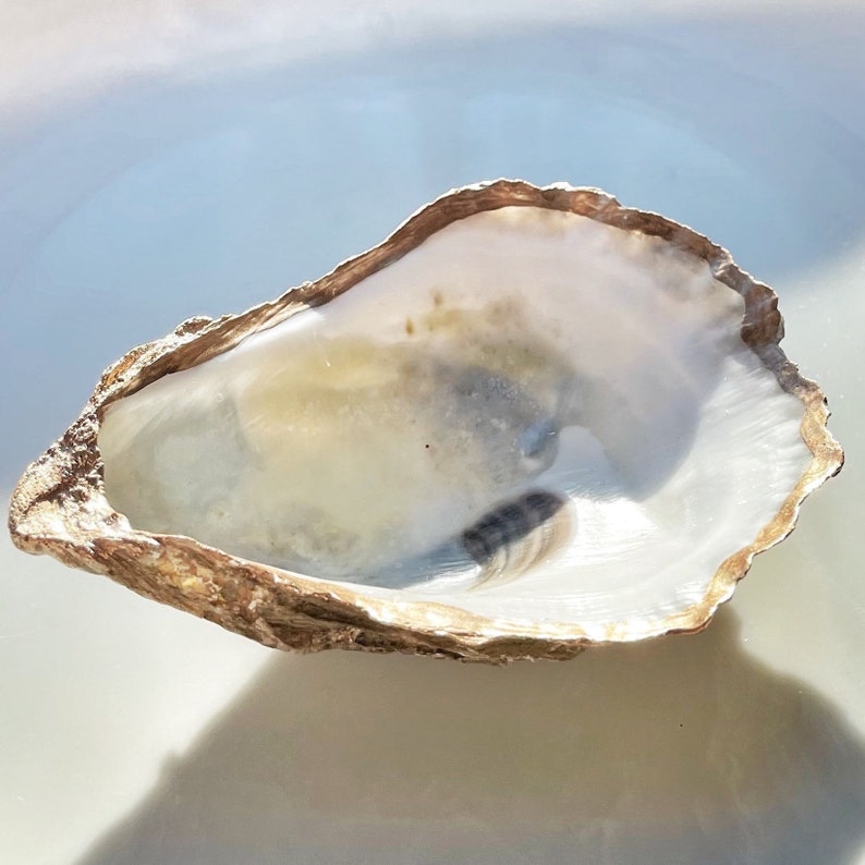 Oyster Shell Ring Dish Personalized Bridal Party Gift - Etsy