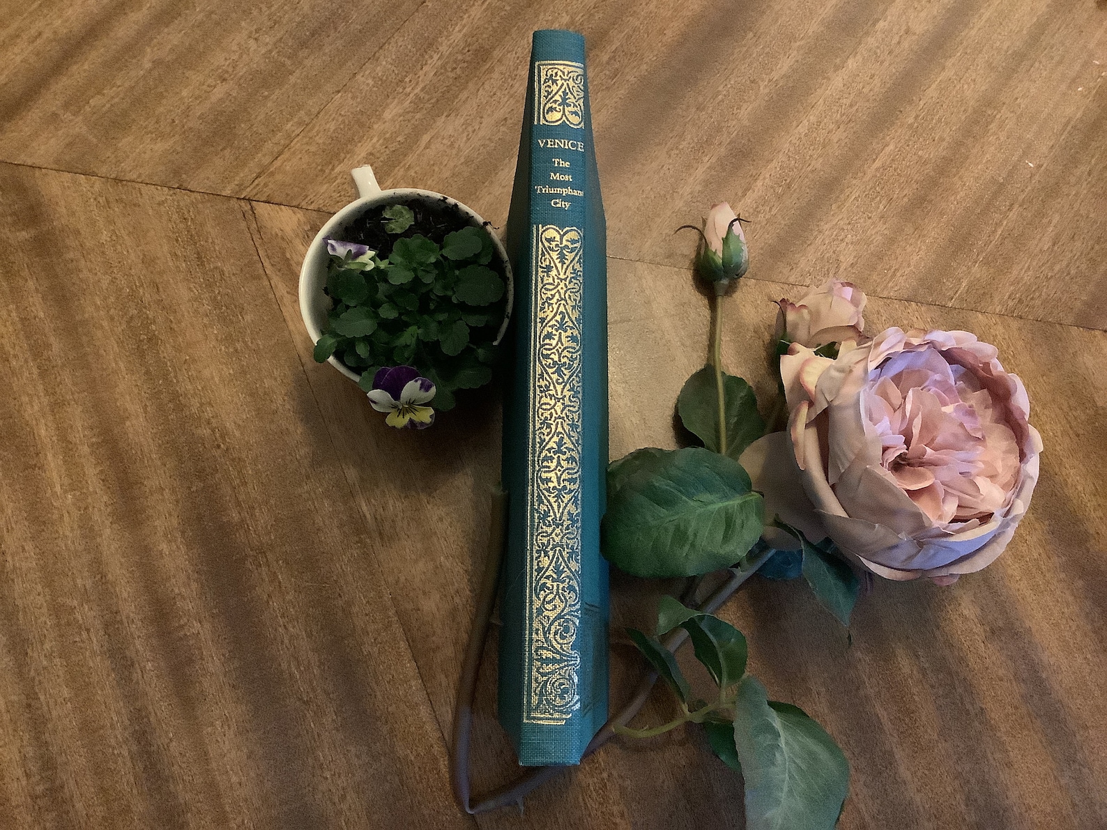 Venice the Most Triumphant City by George Bull. Beautifully Illustrated ...