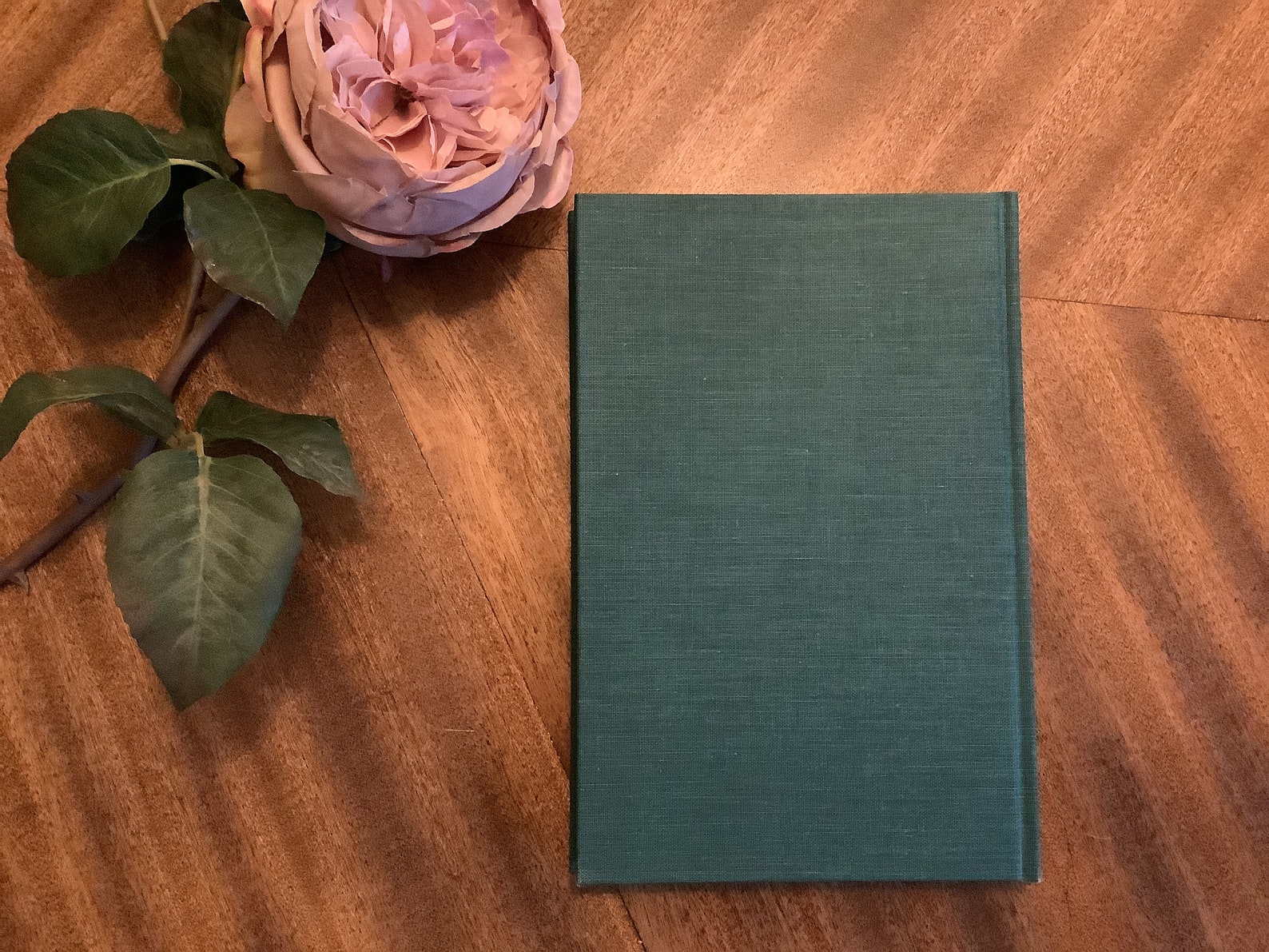 Venice the Most Triumphant City by George Bull. Beautifully Illustrated ...