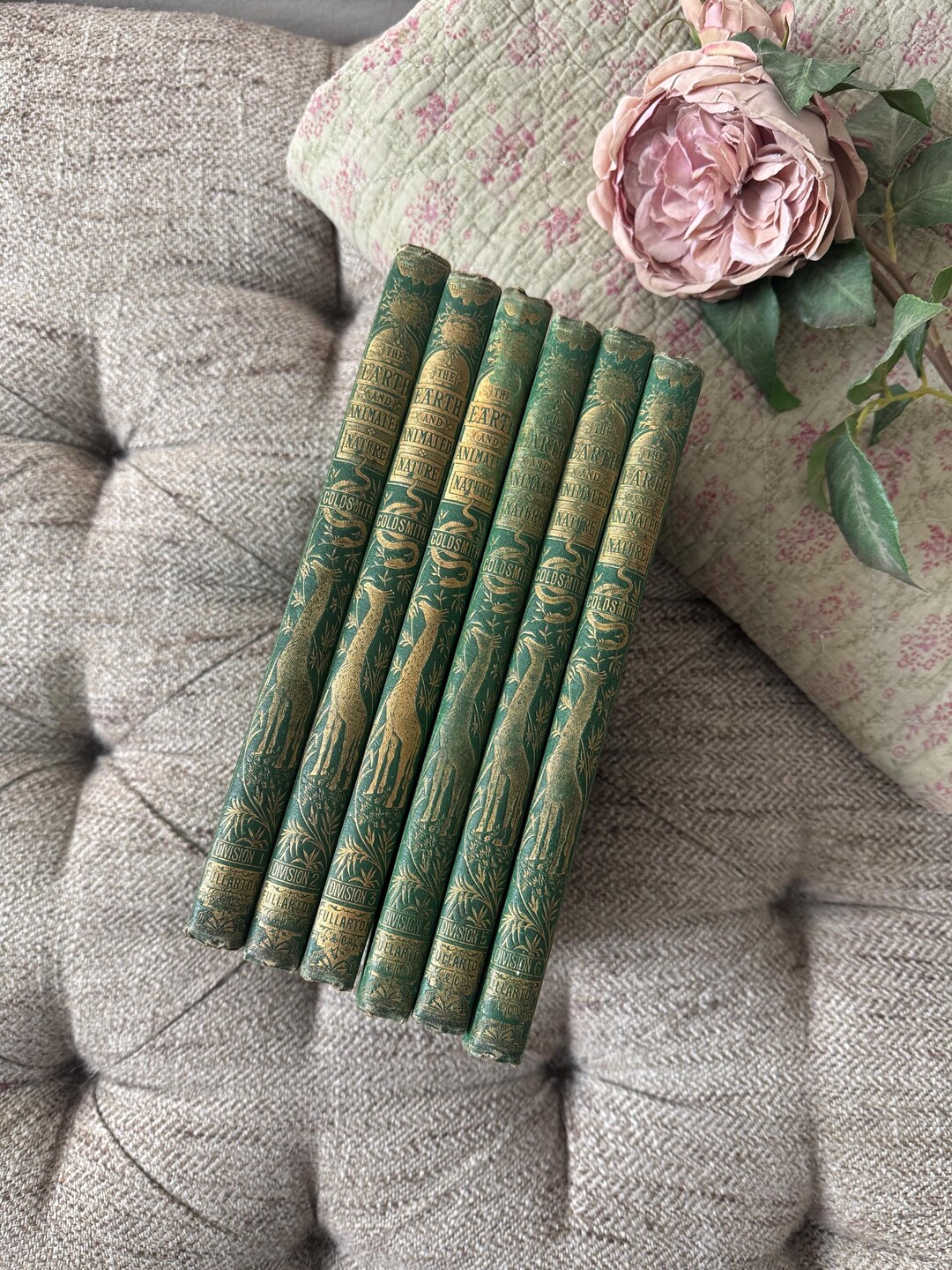 Antique Oliver Goldsmith "animated Nature" Book Set: Hand-colored ...