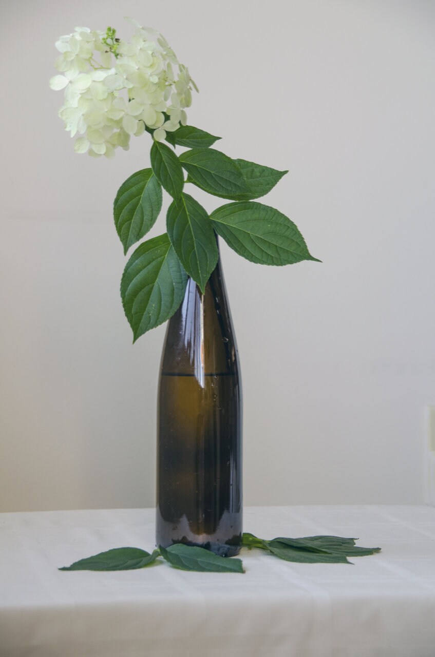 8" Recycled Vase | Repurposed Decor | Upcycled Glass - Etsy
