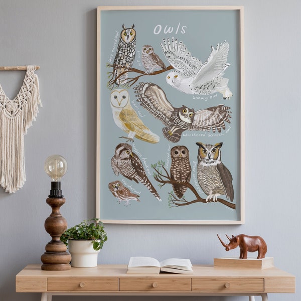 Owl Chart - Etsy