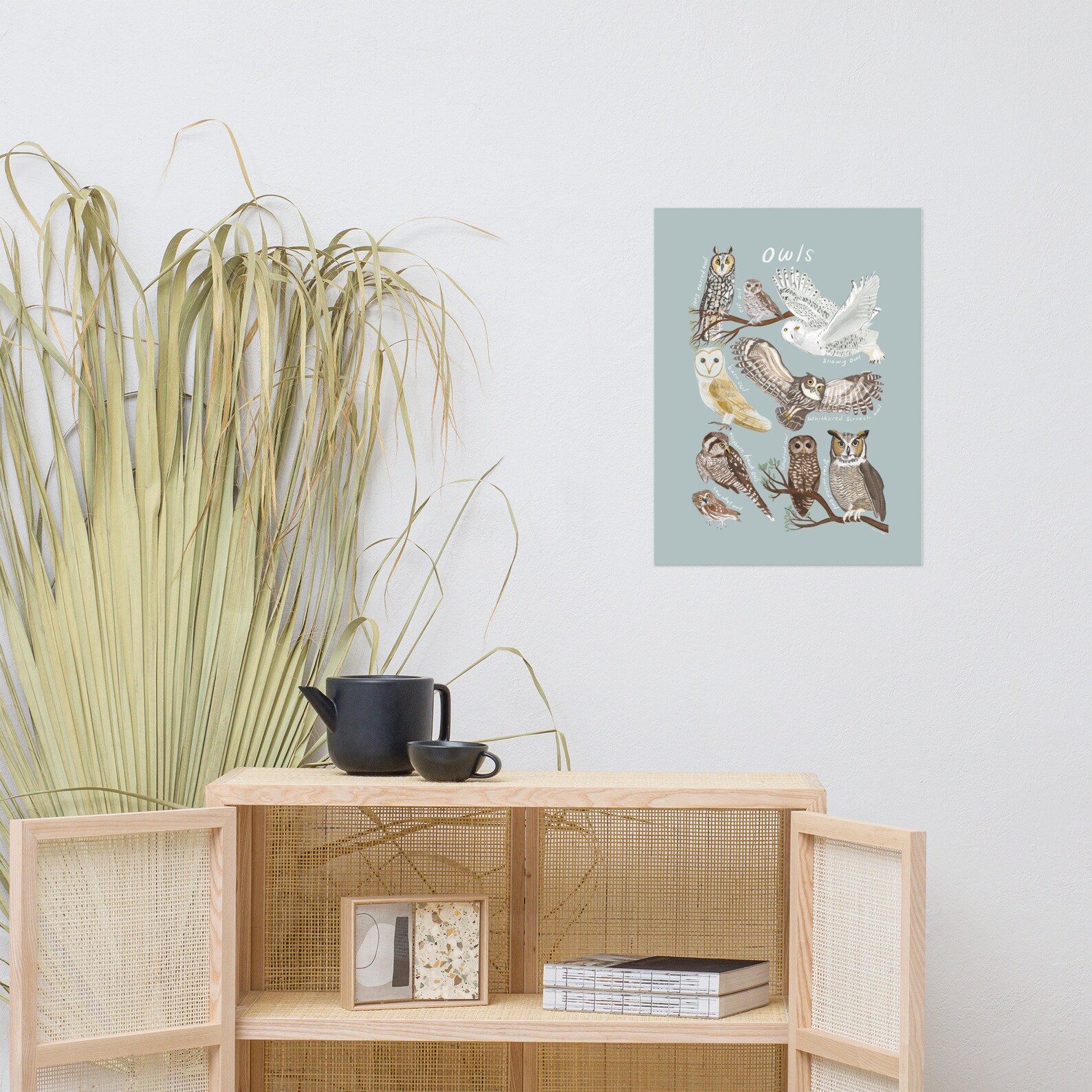 Owls Field Guide Poster Owls of North America Wall Art Types - Etsy