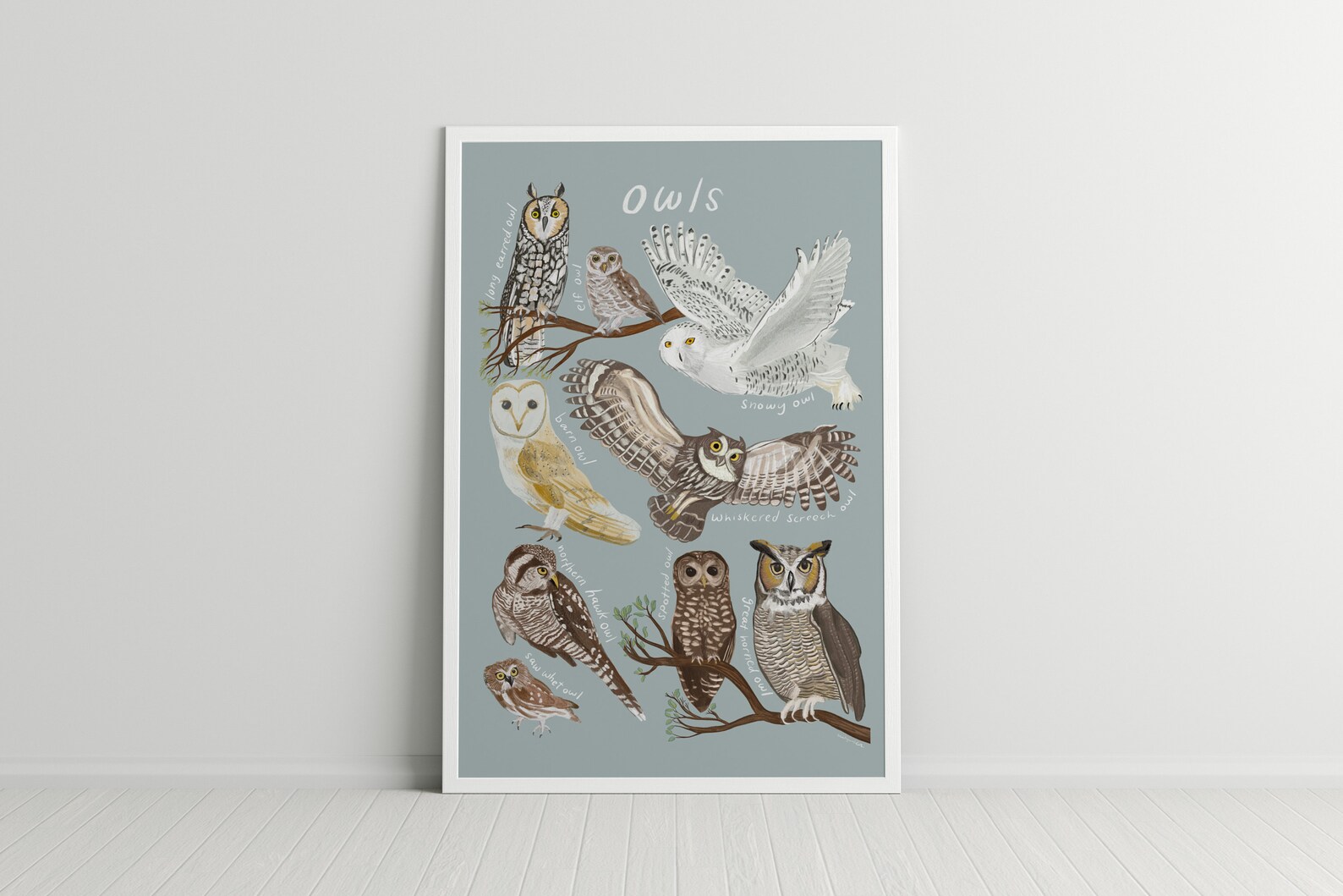 Owls Field Guide Poster Owls of North America Wall Art Types | Etsy