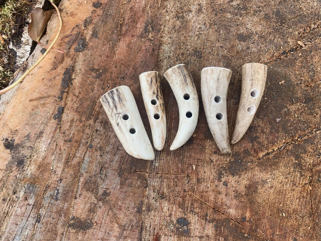 Red Deer Antler Toggle Buttons: 5cm, Scottish Highlands, DIY Craft ...