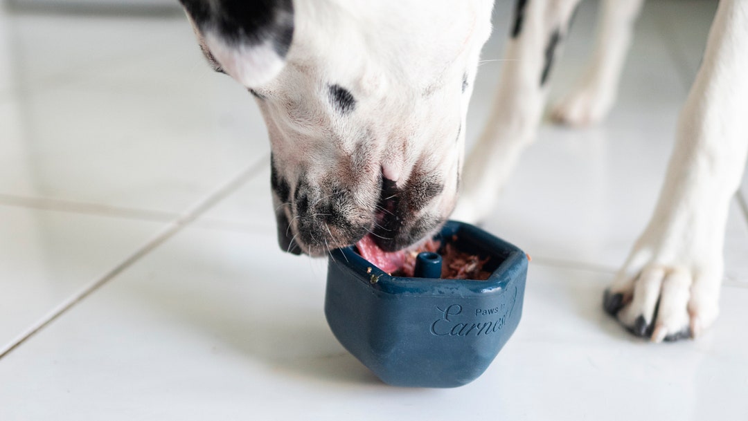 Dog Enrichment Toy Rylo, Dog Toy, Interactive Feeder Toy, Canine ...