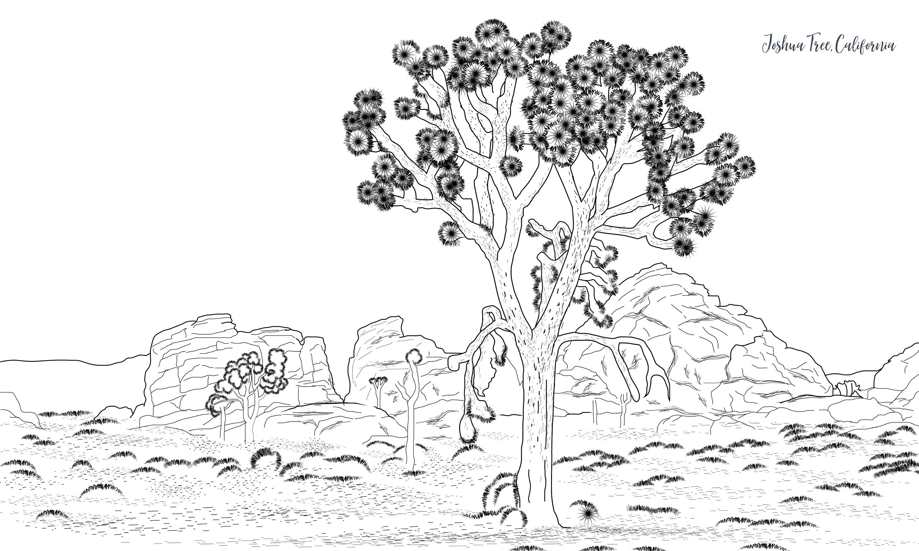 California State Tree Coloring Page