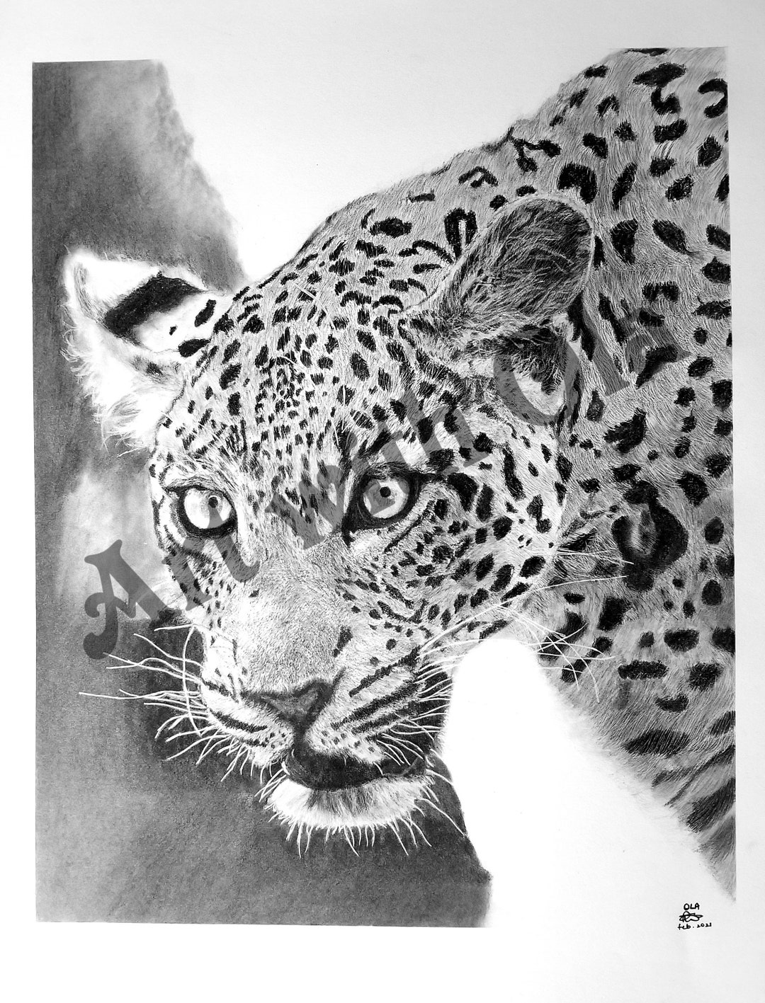 A Leopardess Drawing Art Print | Wildlife | Hyperrealism Drawing on ...