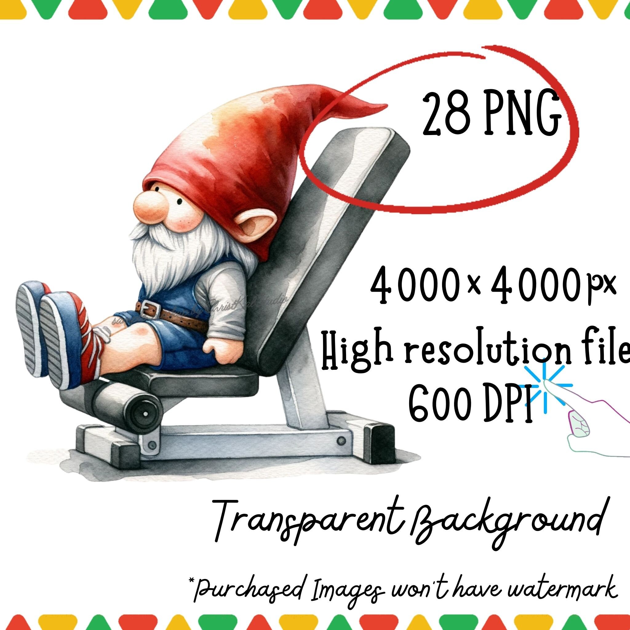 28 PNG Set C : Bodybuilder Gnome PNG, Workout Gnome, Fitness Gnomes ...