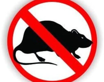 Union Hard Hat - Etsy