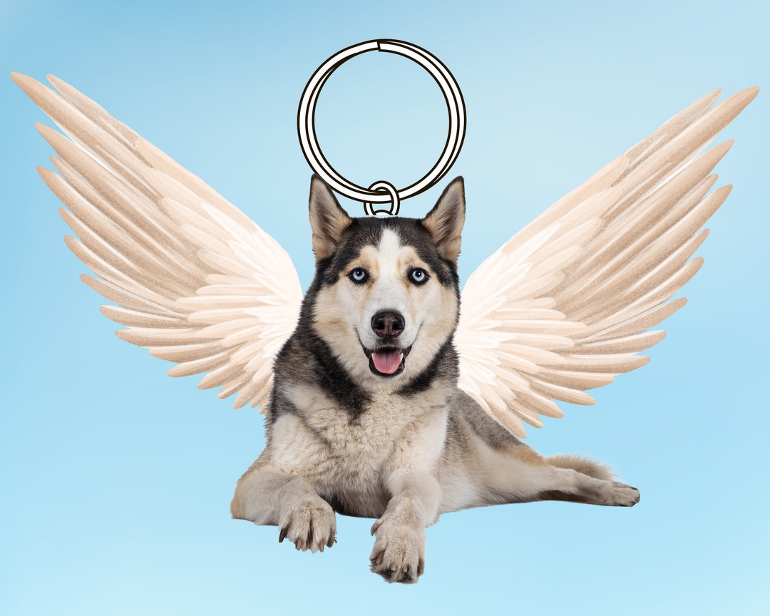Angel Wings Pet Memorial Keychain, Custom Photo Picture Keyring - Etsy