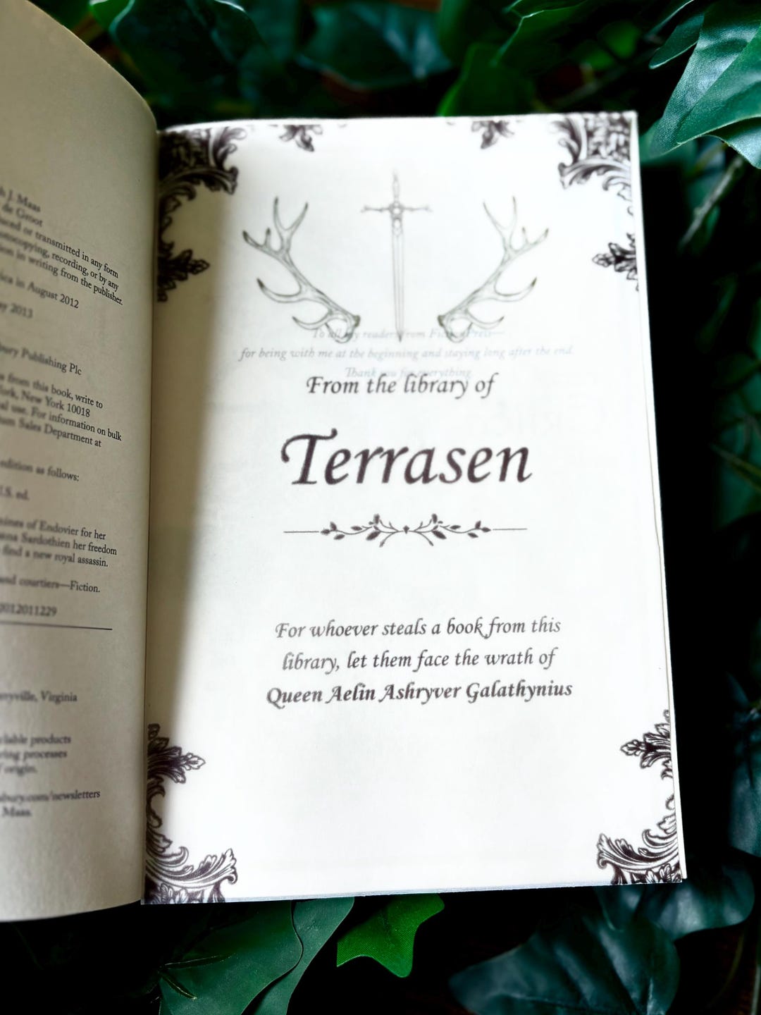 Book-themed Page Overlay! (TOG) - Etsy