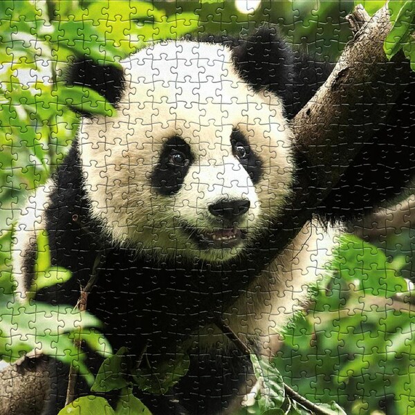 Panda Puzzle - Etsy