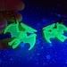 Neon Pterodactyl Earrings- Dinosaur Earrings - Etsy