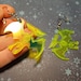 Neon Pterodactyl Earrings- Dinosaur Earrings - Etsy