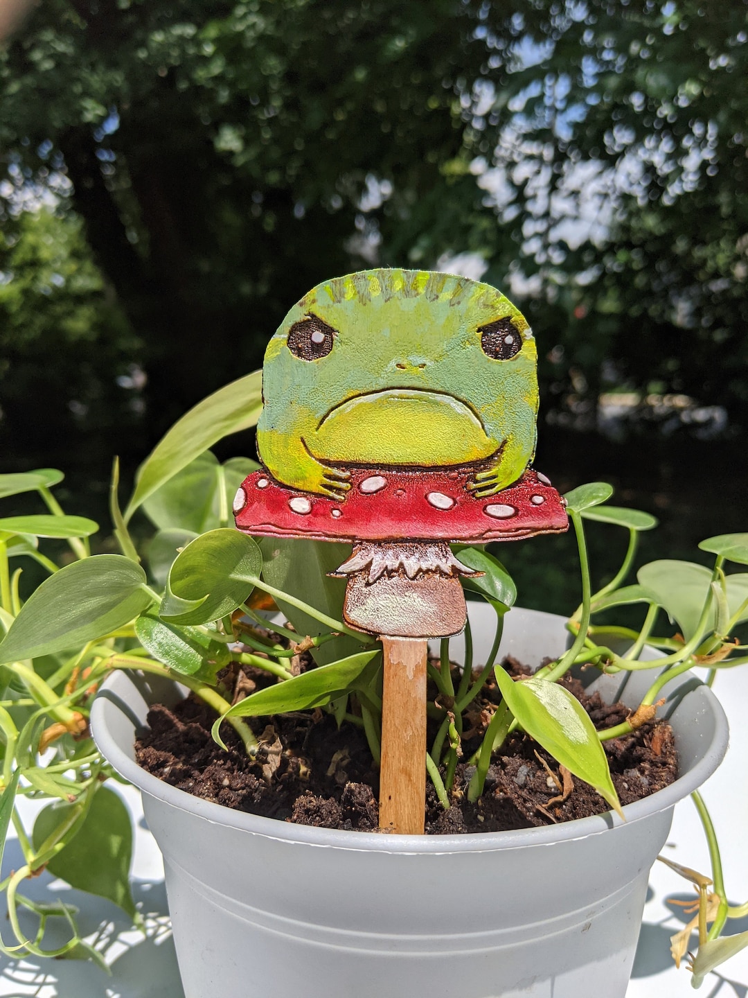 Grumpy Frog Plant Pal - Etsy