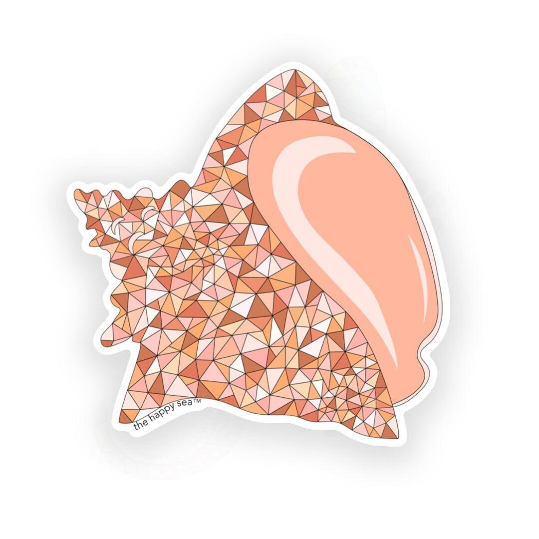 The 3" Conch Shell Vinyl Sticker - Etsy