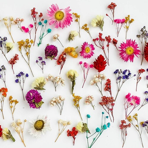 Small Dried Flowers Mix Dry Flowersflowers for Resin - Etsy