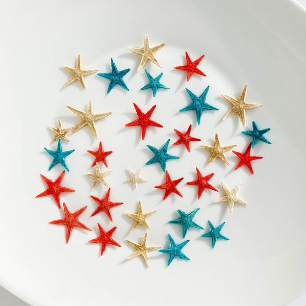 Starfish Home Decor - Etsy