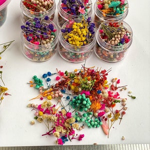 Dried Flowers for Resin Jewelry, Tiny Small Flowers, Resin Supply Mini ...