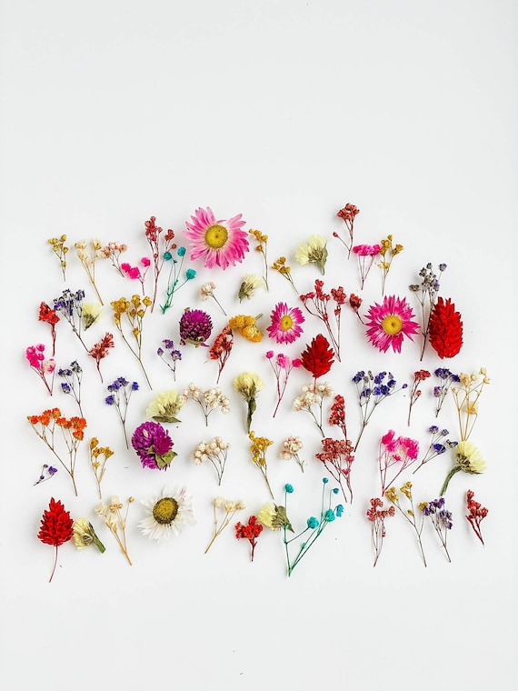 Mini dried flowers for resin jewelry store