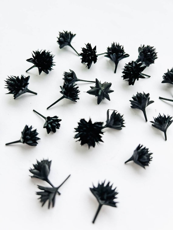 Black Hill Flower Heads Real Dried Flowers for Resin Jewelry - Etsy