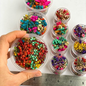 Dried Flowers for Resin Jewelry, Tiny Small Flowers, Resin Supply Mini ...
