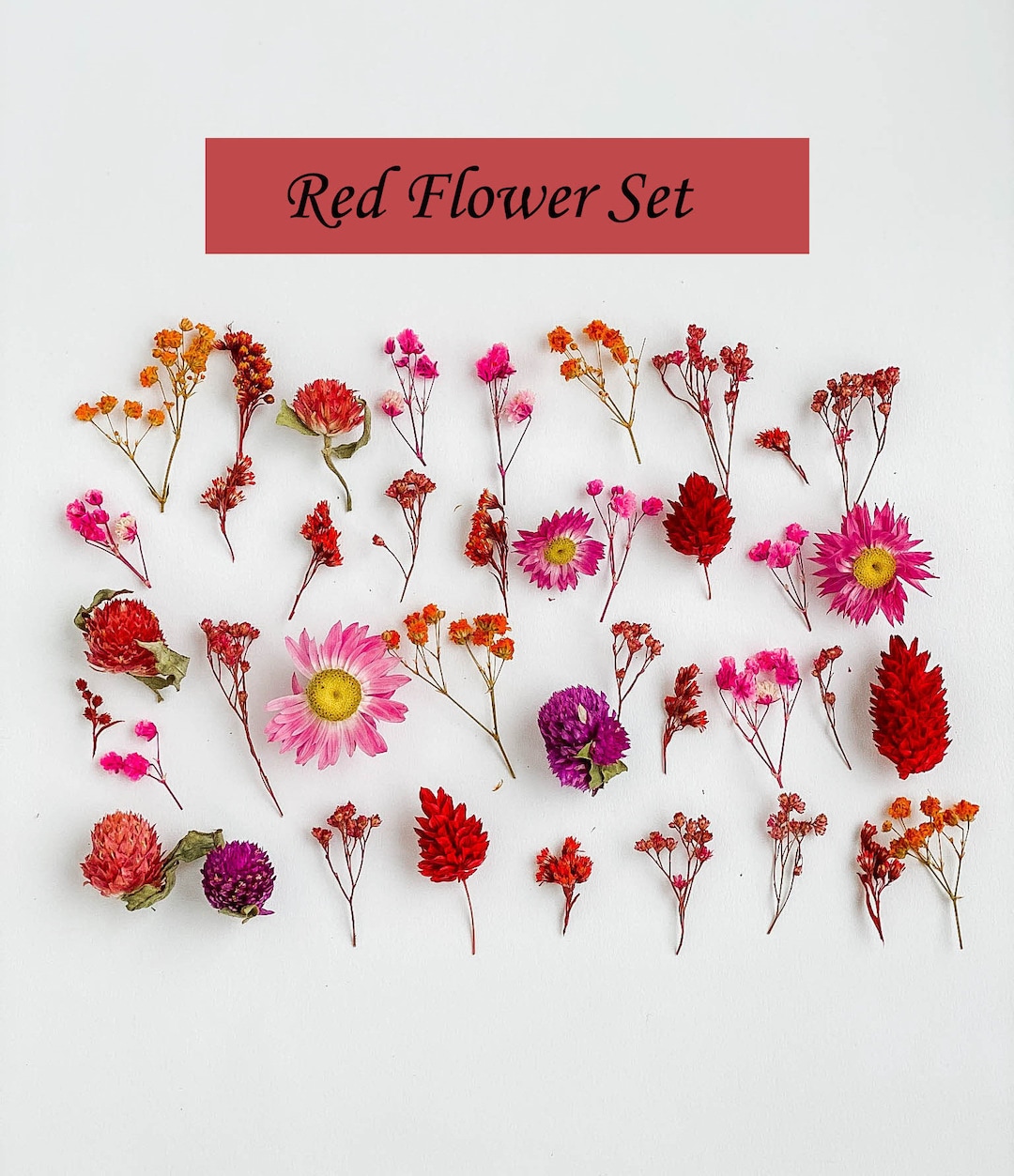 Dried Red Flower Set, Mini Baby Breath, Gypsophila, Phalaris (40 Pcs ...