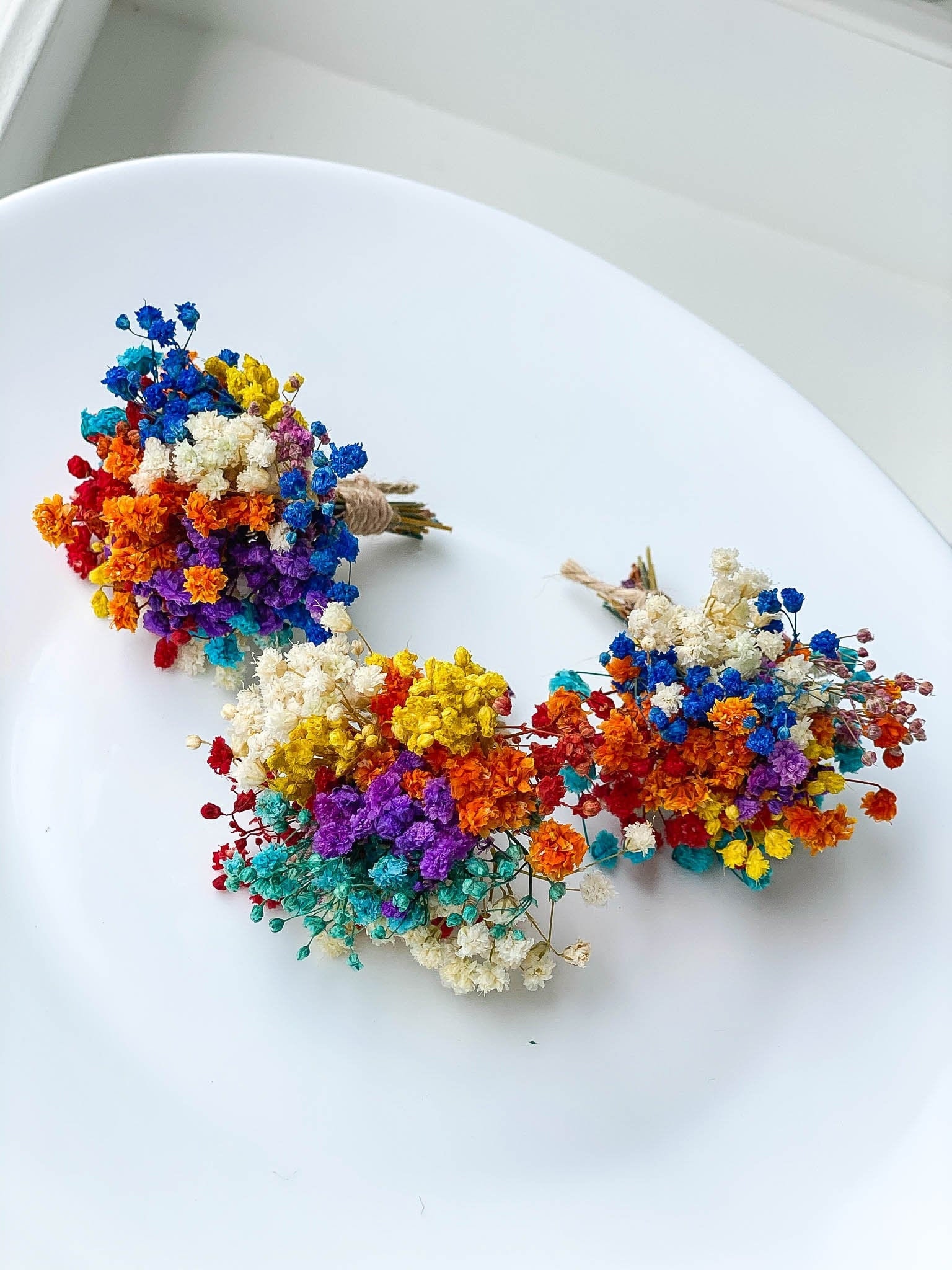 Colorful Dried Gypsophilia Flowers Natural Babys Breath - Etsy