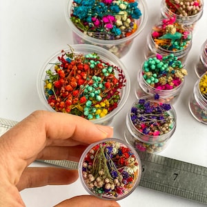 Dried Flowers for Resin Jewelry, Tiny Small Flowers, Resin Supply Mini ...