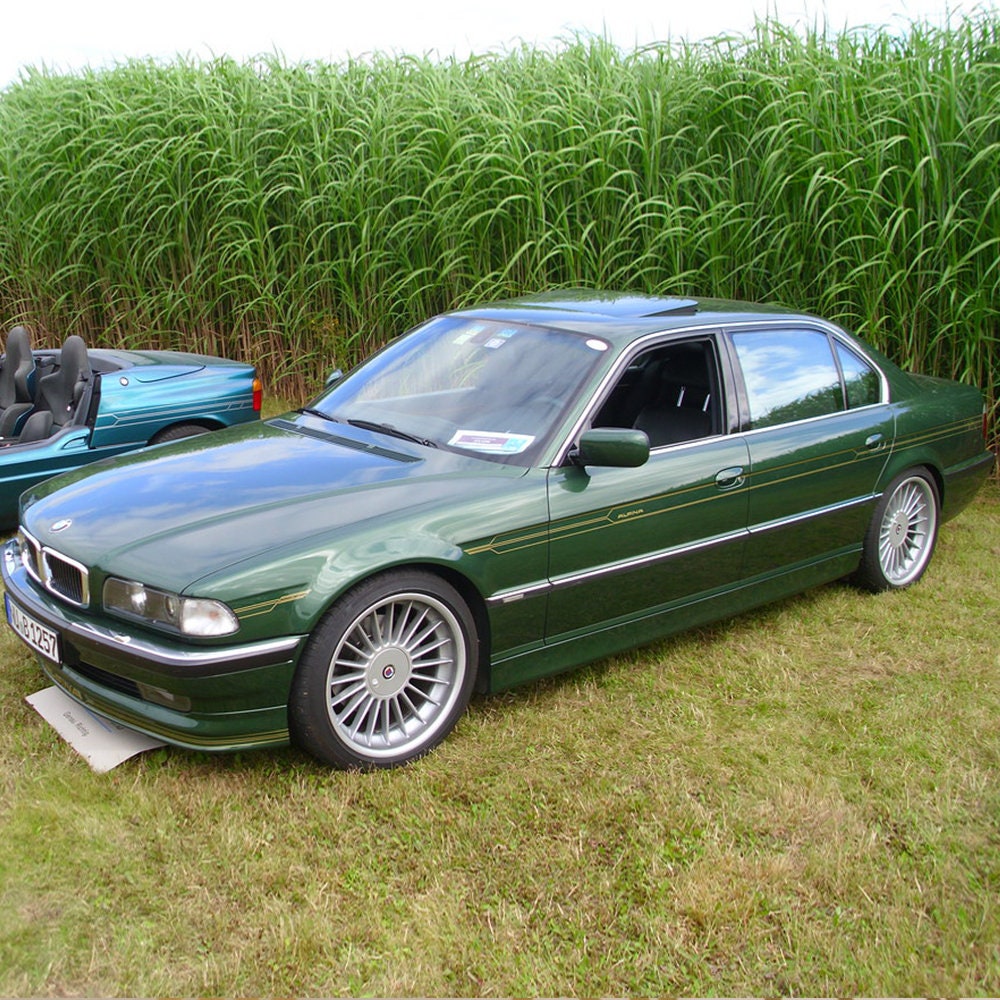 Bmw E38 Alpina Stripe Set | Etsy