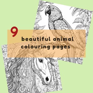 Exotic Animal Colouring Pages Tiger Deer Peacock Colouring Pages ...
