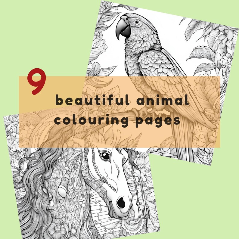 Exotic Animal Colouring Pages | Tiger Deer Peacock Colouring Pages ...