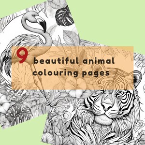 Exotic Animal Colouring Pages Tiger Deer Peacock Colouring Pages ...