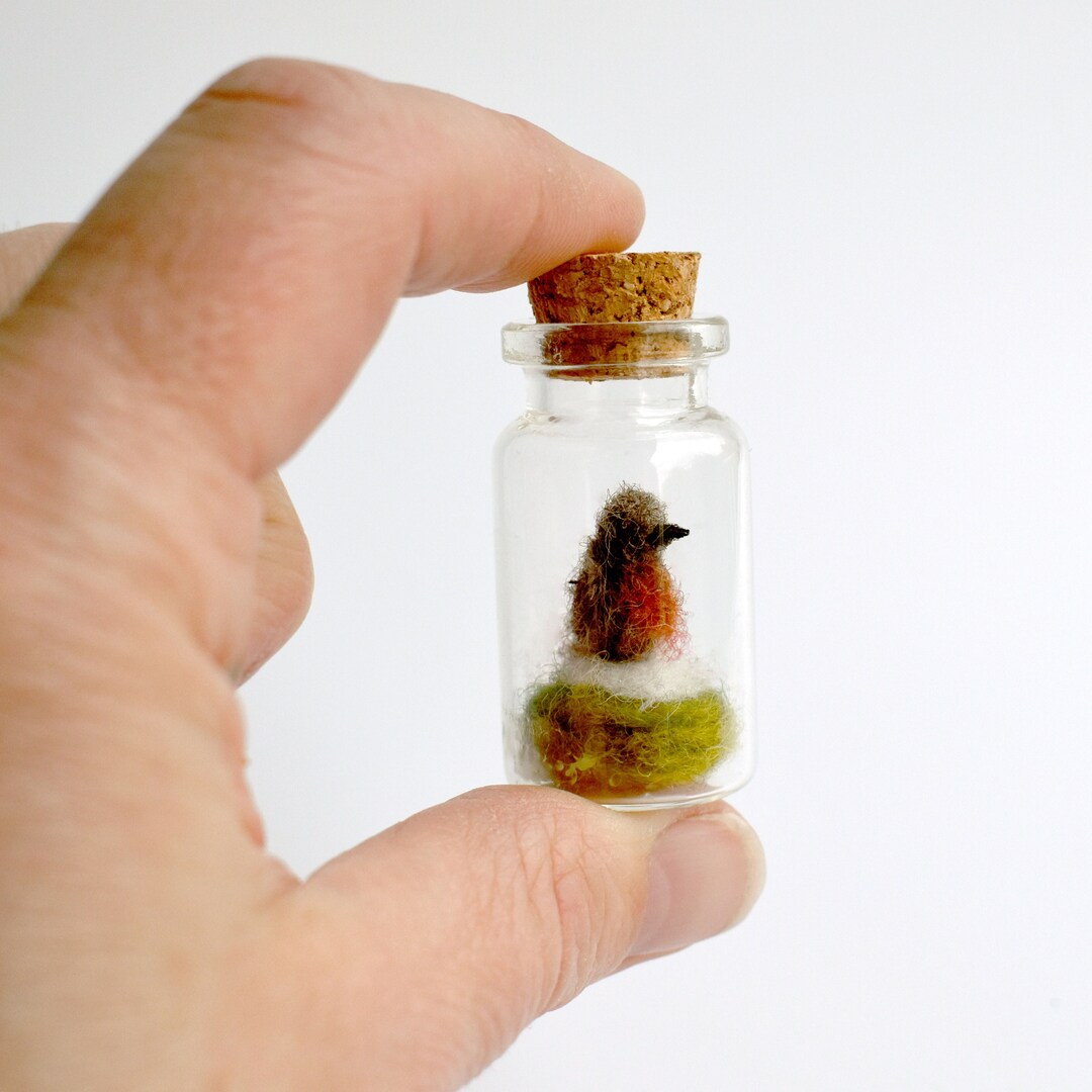 Micro Needle Felt Robin in a Bottle - Etsy UK
