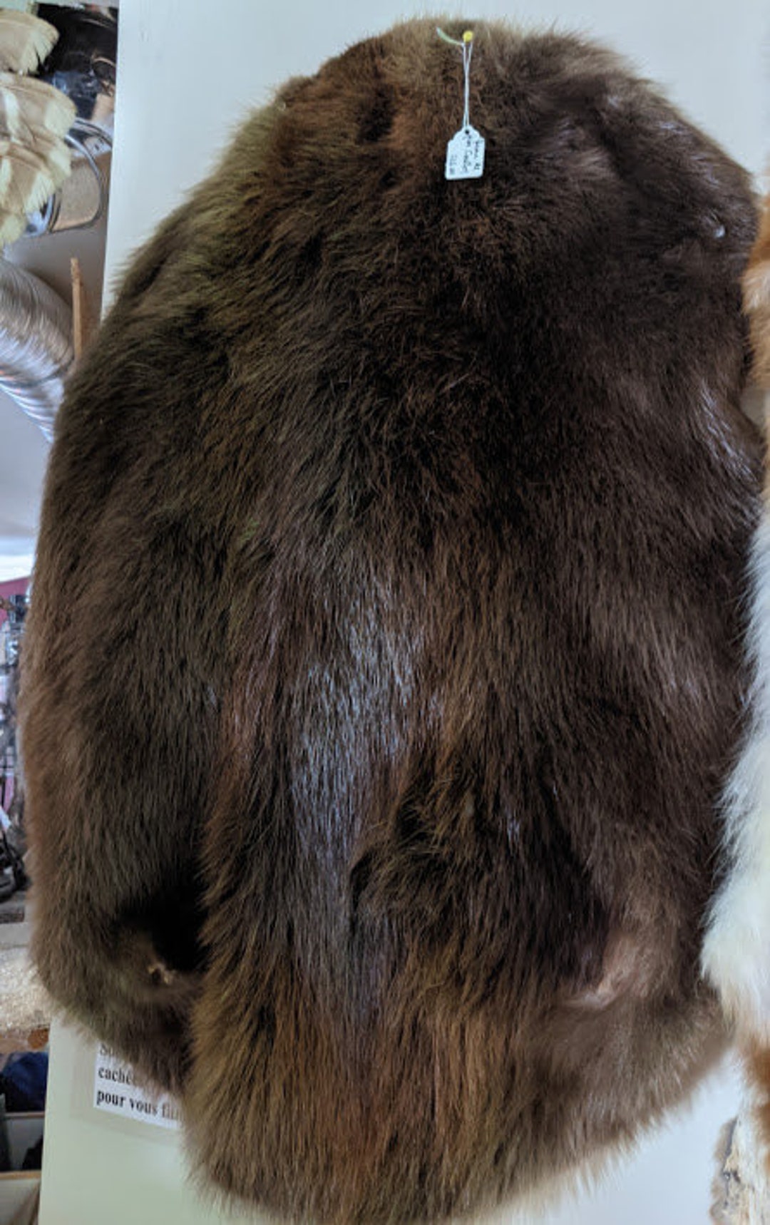 Beaver Skin - Etsy