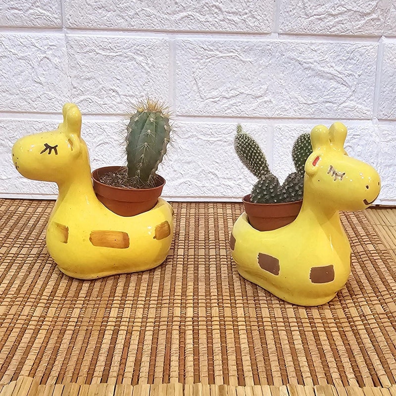 Cute Pots - Etsy