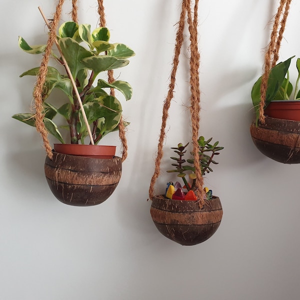 Coconut Plant Pot - Etsy