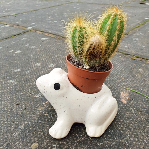 Ceramic Animal Planter - Etsy