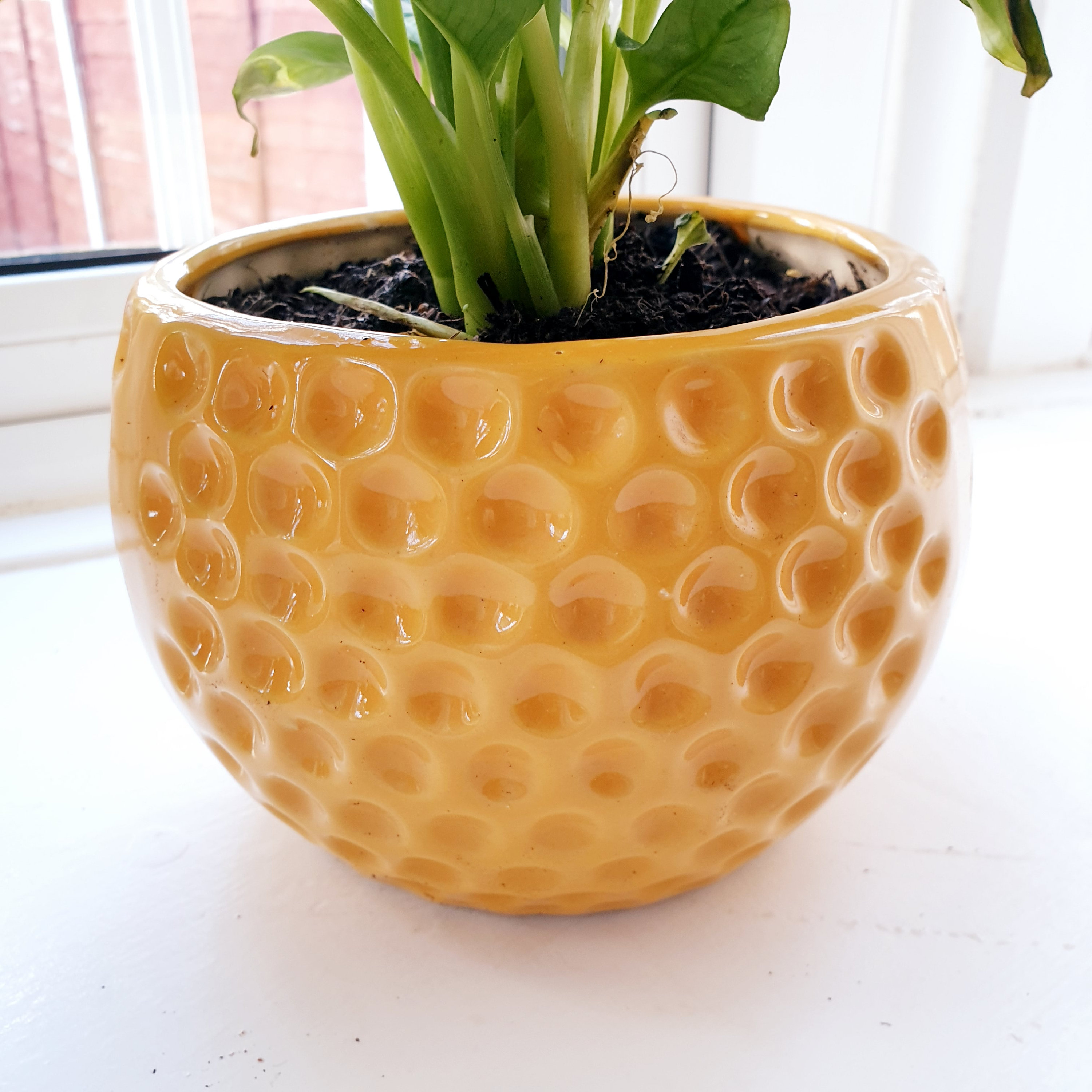 Art Deco Golf Ball Ceramic Planter Pot | Hammered Dotted Design Flower ...