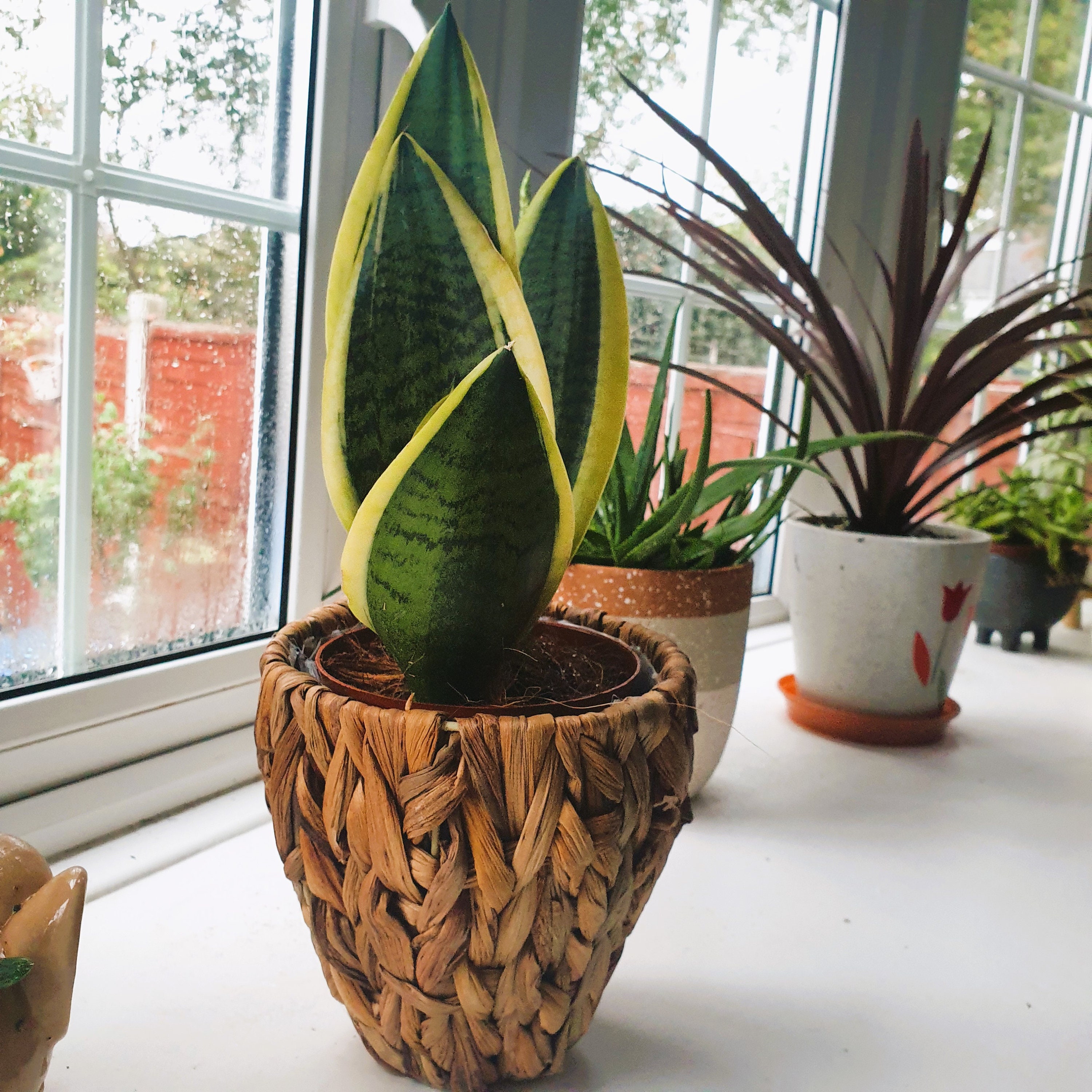 Rustic Natural Water Hyacinth Fibre Planter Pot L L15 X W15 Cm L Natural Woven Fibre With ...