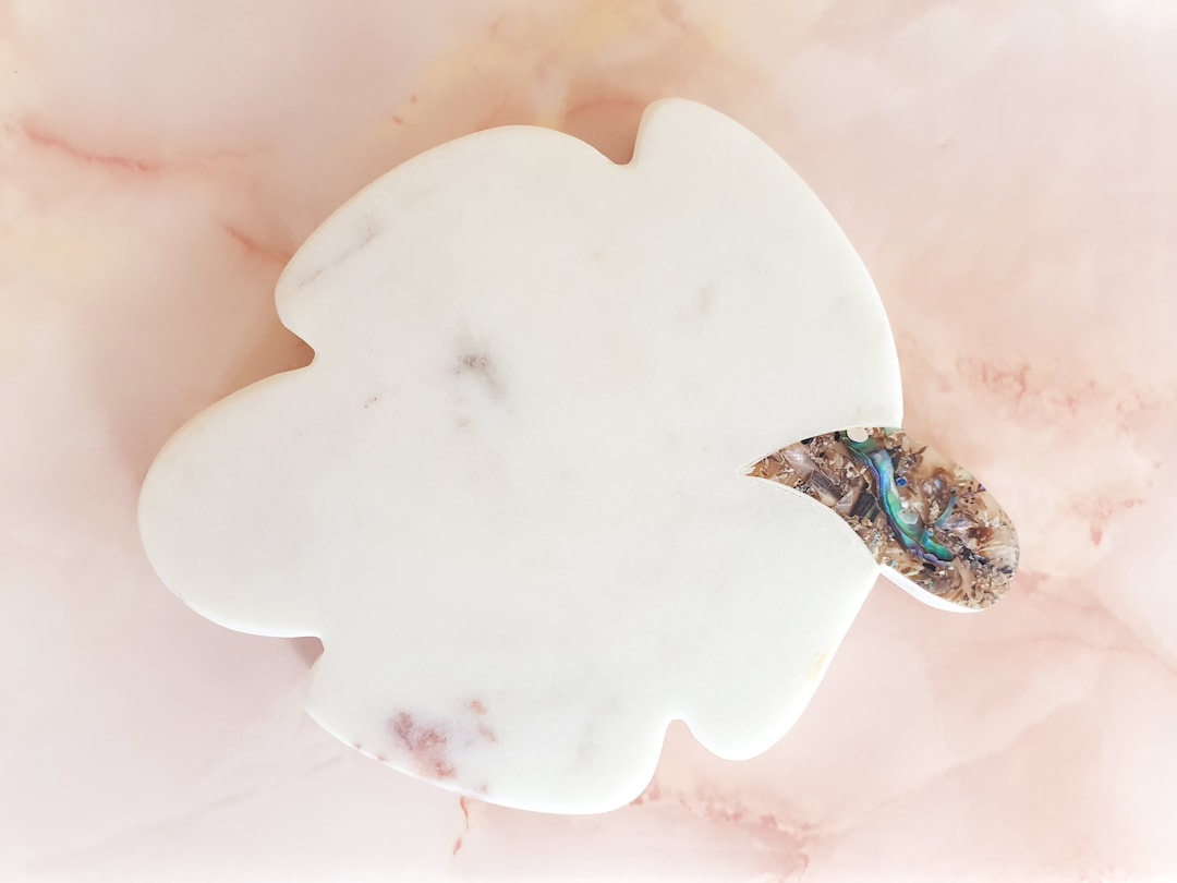 Set of 4 Sea Shell & Marble Large Monstera Leaf Coasters L Set of 4 ...