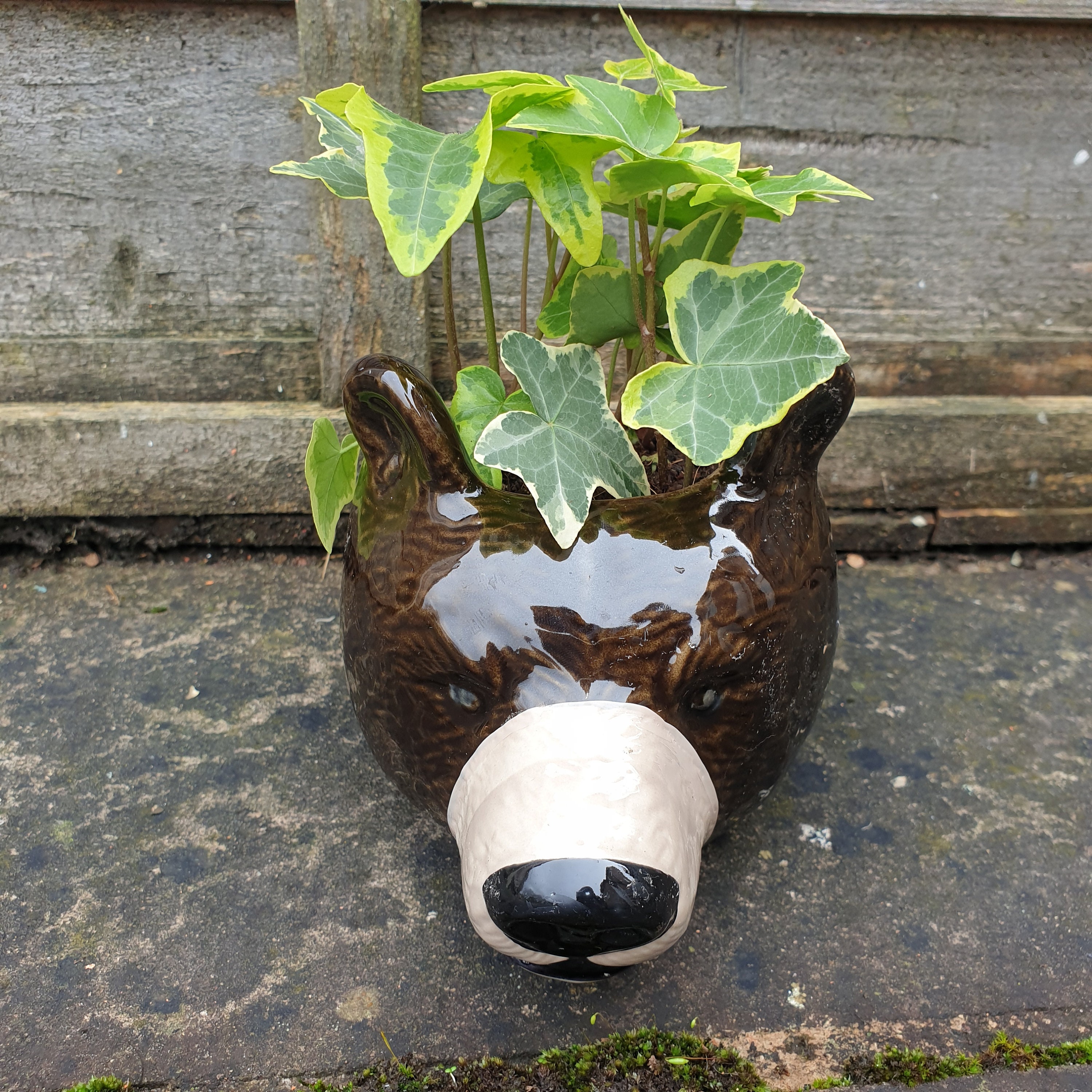 Grizzly Bear Ceramic Planter Pot With Handle Quirky Animal - Etsy