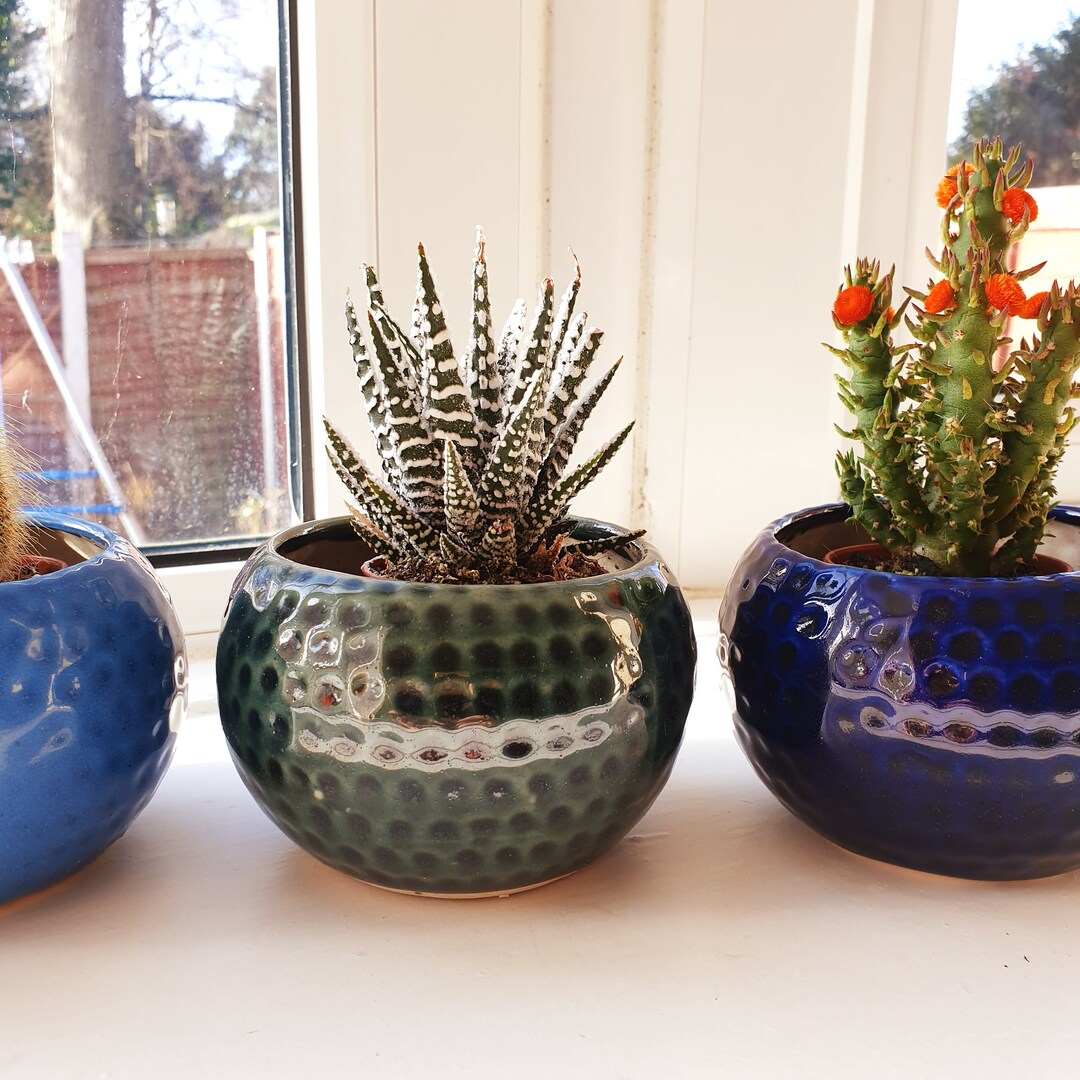 Golf Ball Ceramic Planter Pot L Olive Green Left | 3" Height Bonsai and ...